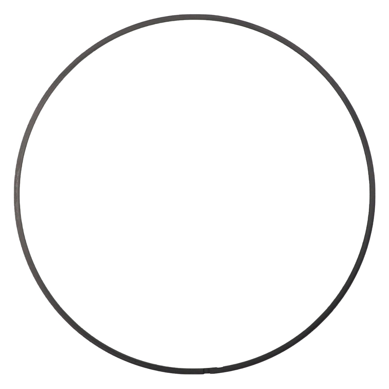 SEALING RING | AGCO Parts