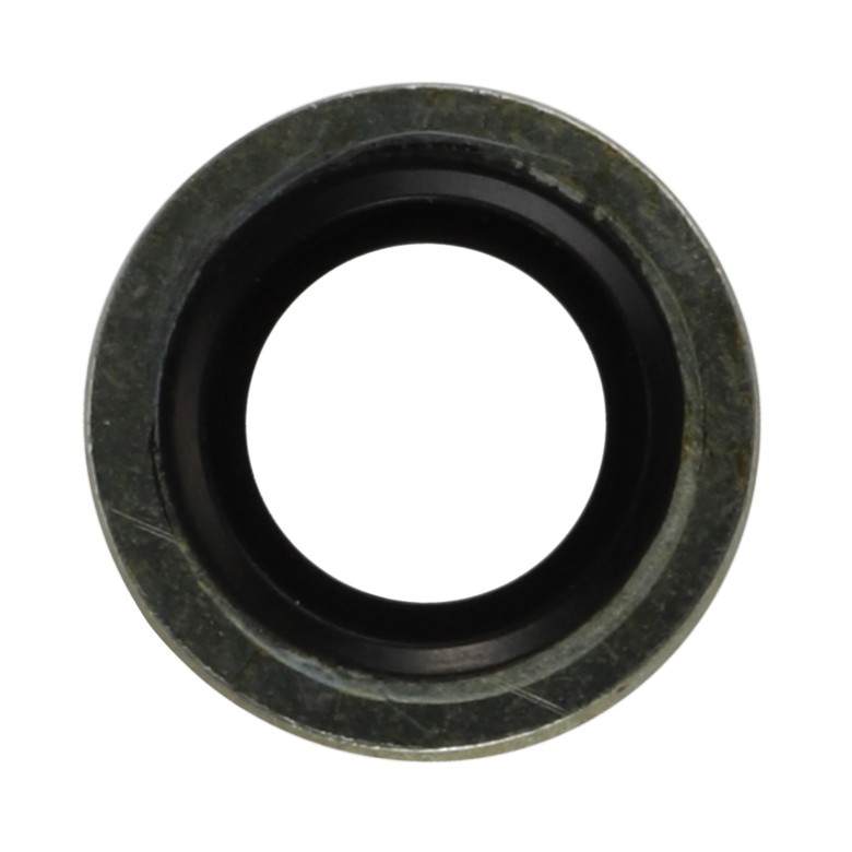 USIT RING X566018000000 | AGCO Parts