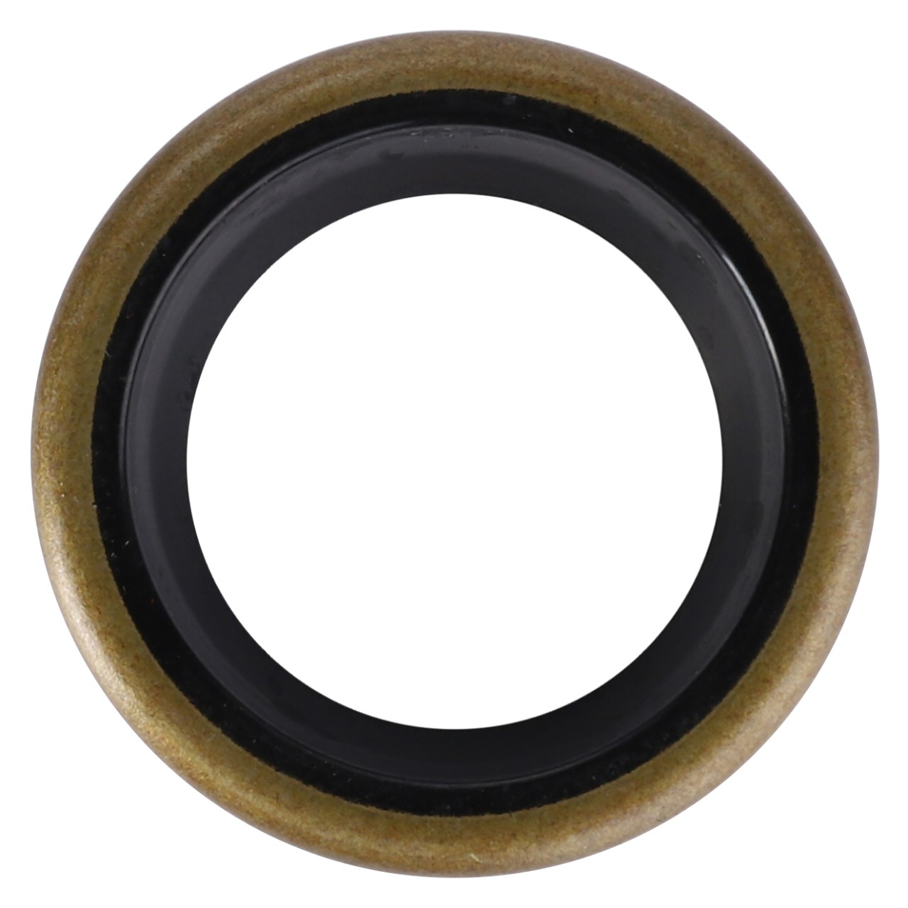 Seal, Steering Cylinder 1749616M1 | AGCO Parts