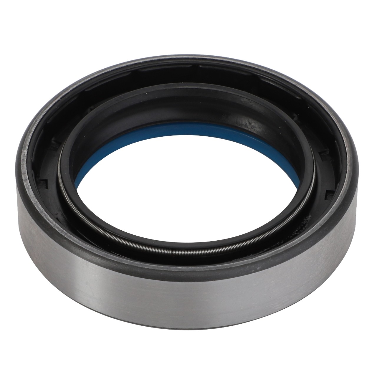 Oil Seal | AGCO Parts