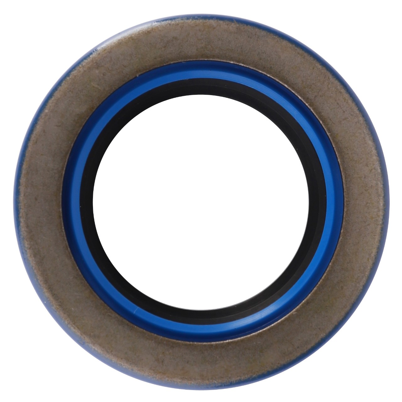 Oil Seal | AGCO Parts