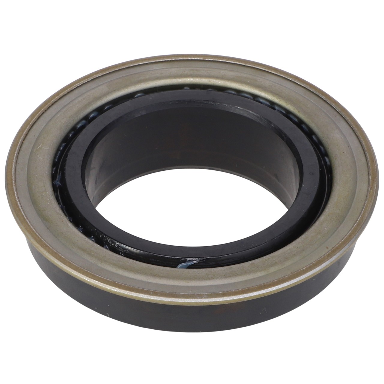 Oil Seal | AGCO Parts