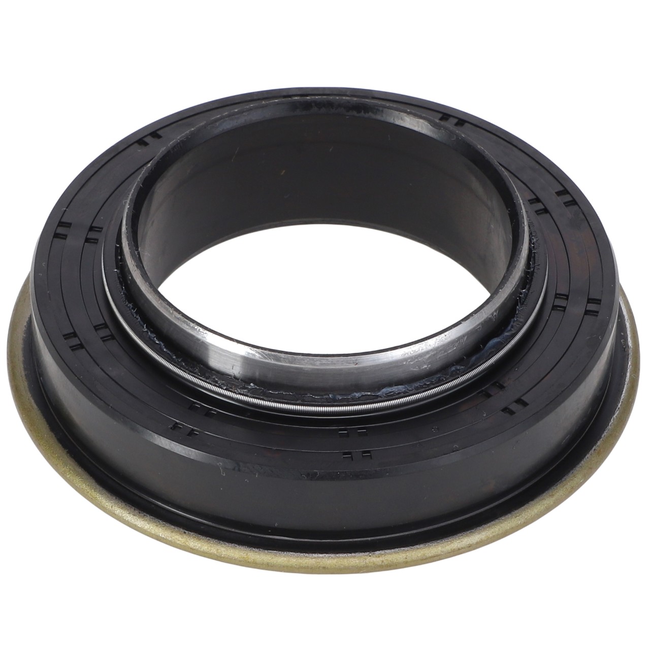 Oil Seal | AGCO Parts