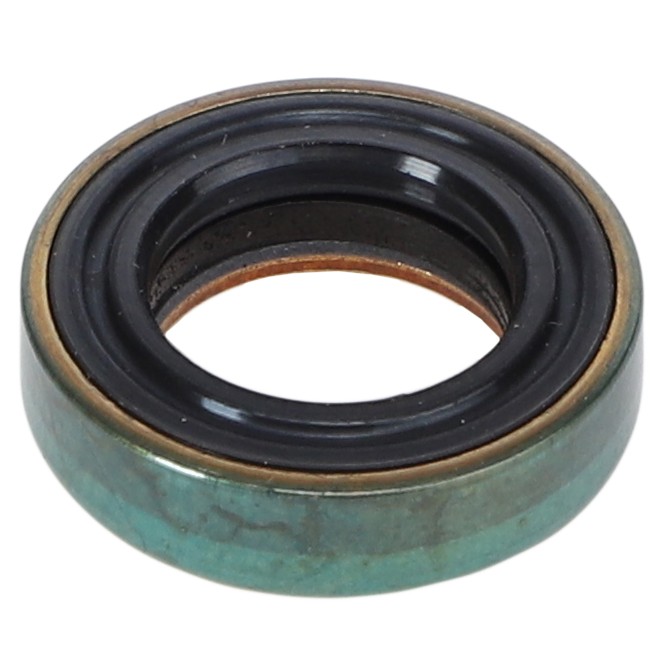 Oil Seal 3760738M1 | AGCO Parts