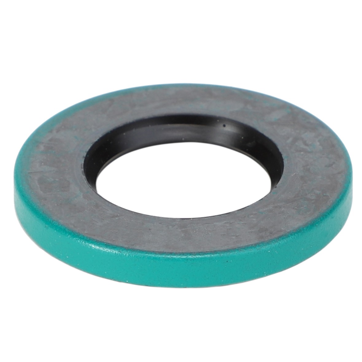 Oil Seal | AGCO Parts