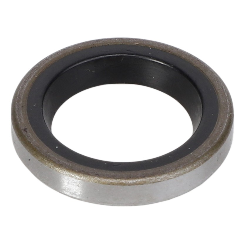 Oil Seal | AGCO Parts