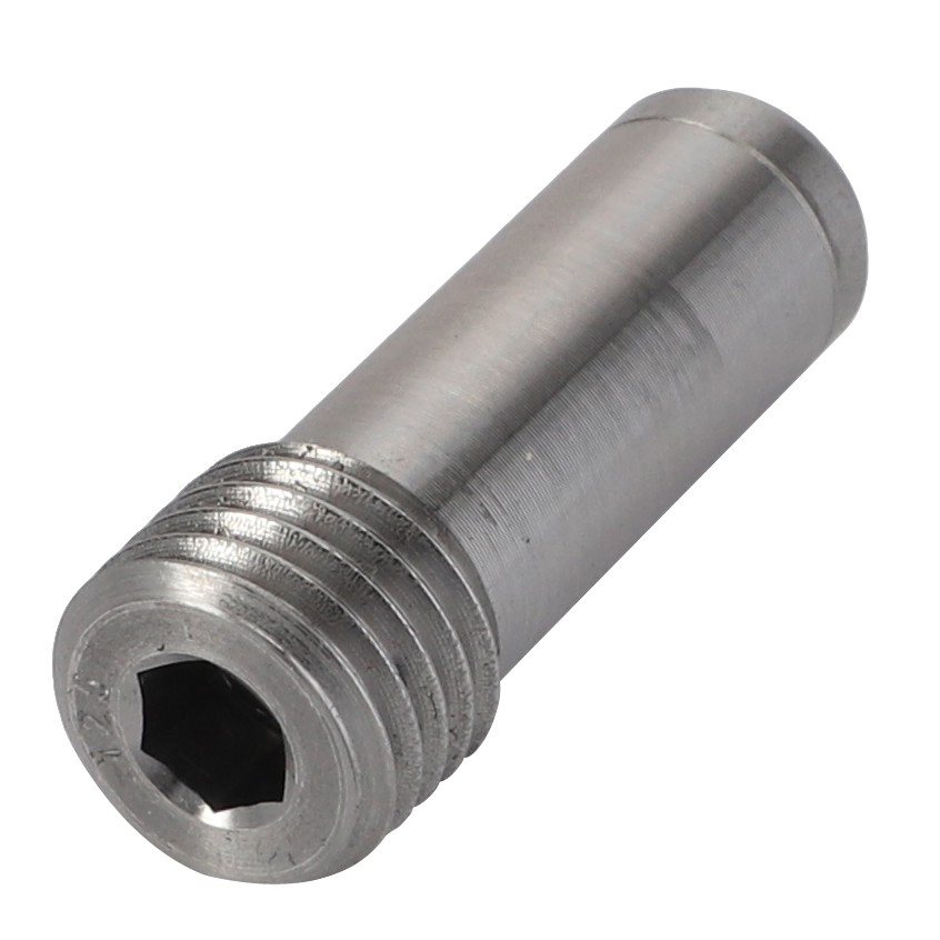 VALVE INSERT F198403090020 | AGCO Parts