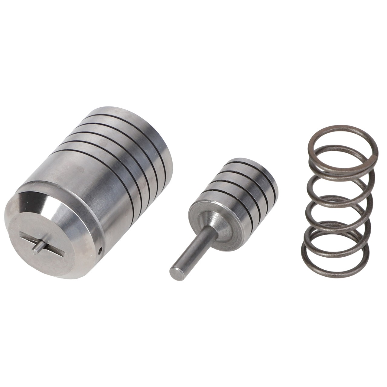 Kit, Poppet Valve 543028D1 | AGCO Parts