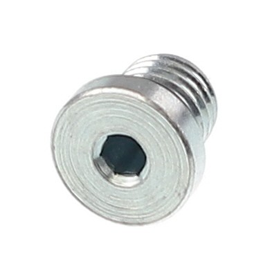 HEX SOCKET HEAD PLUG | AGCO UKB2B2C Site