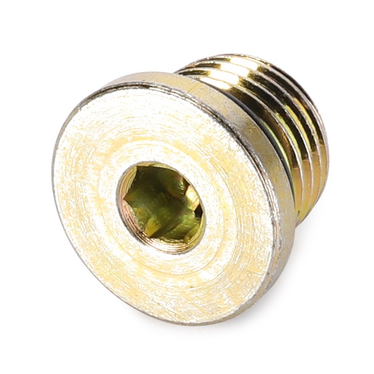 Hollow Hex Head Magnetic Plug 505183D1 | AGCO Parts