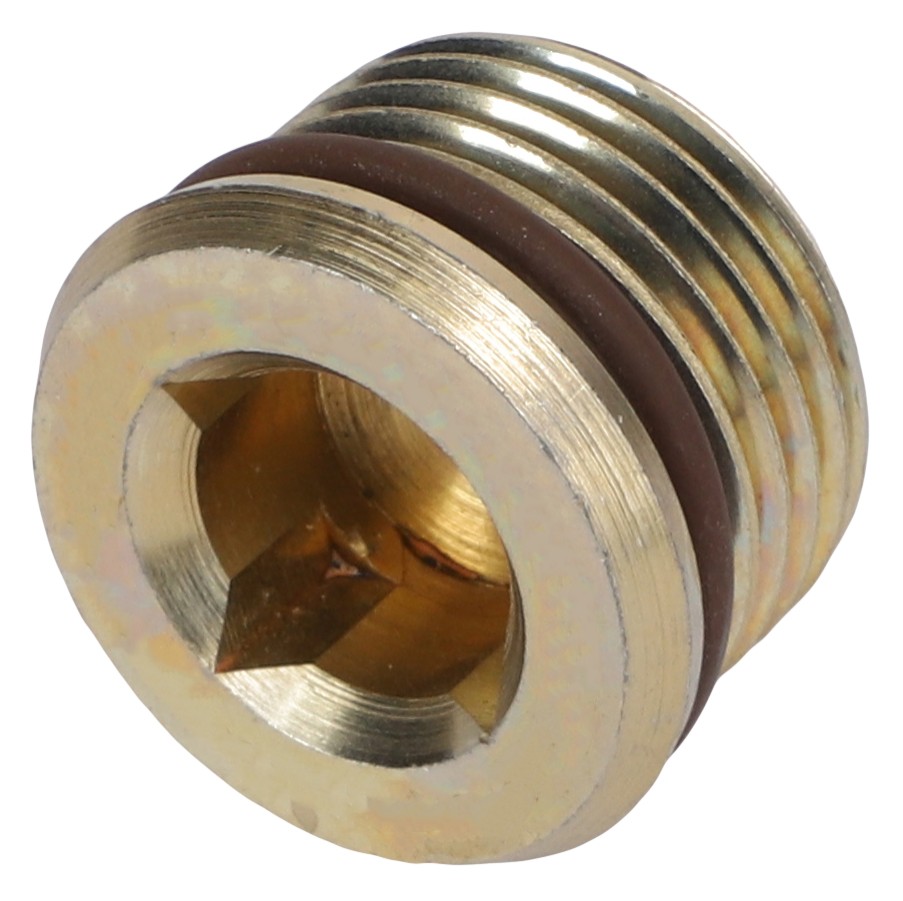O-RING PLUG AG331201 | AGCO Parts
