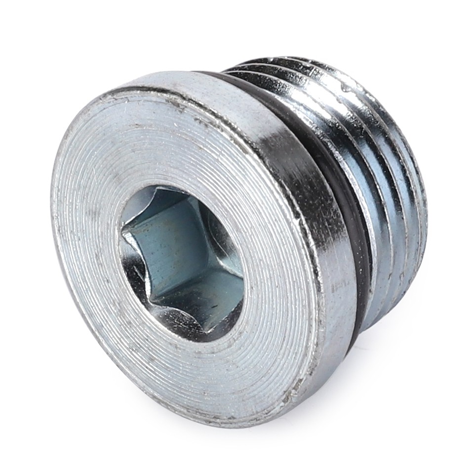 HEX SOCKET HEAD PLUG CH148-8395 | AGCO Parts