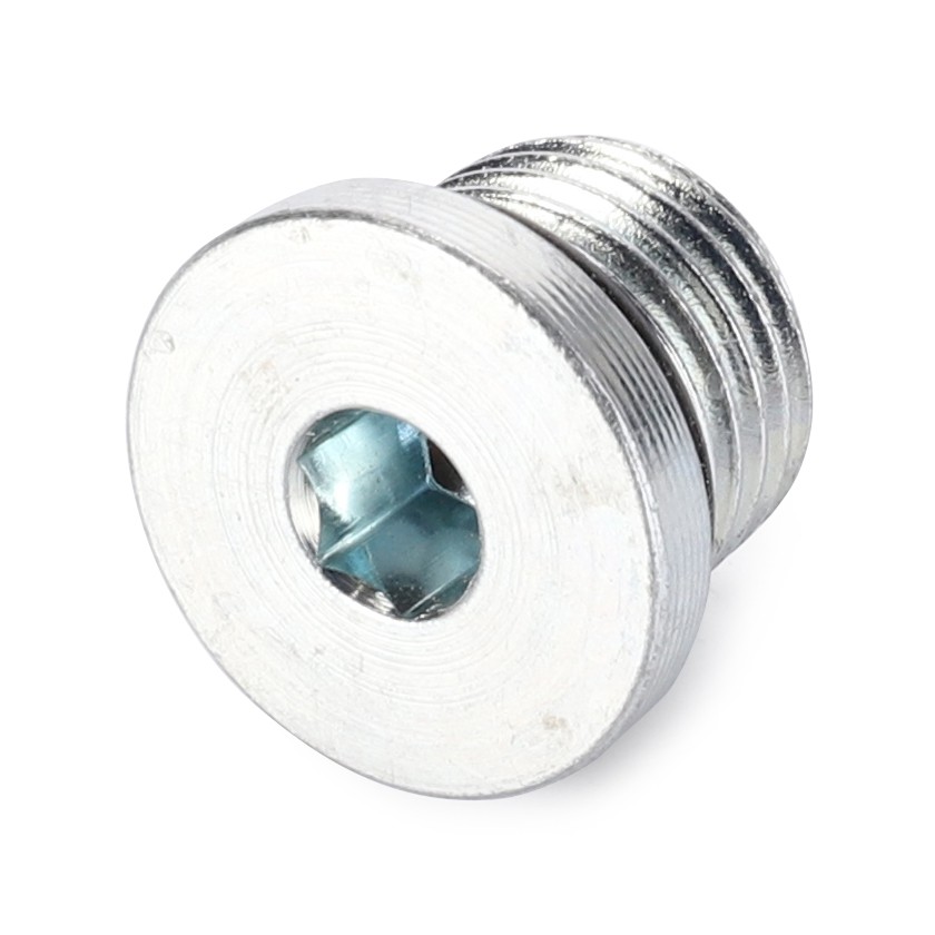 Hollow Hex Head Plug CH9S-8003 | AGCO Parts