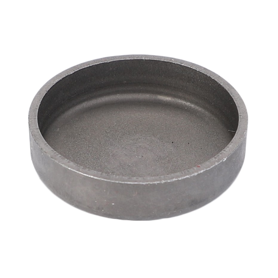 Freeze Plug F119200210080 | AGCO Parts