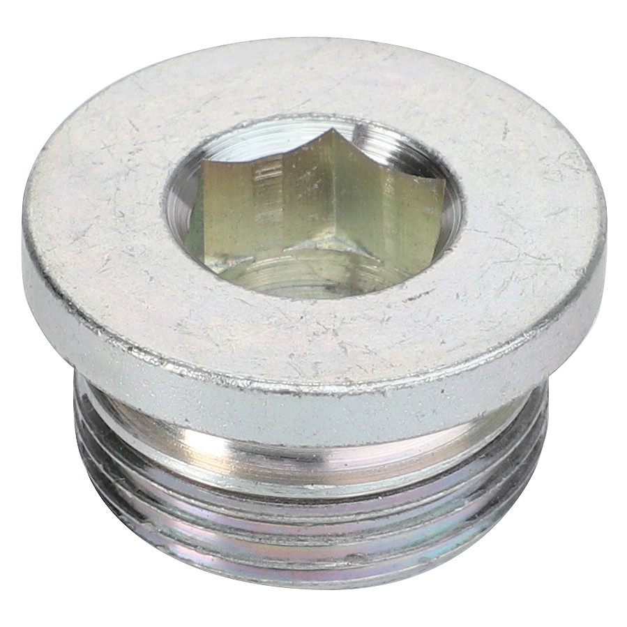 OIL PLUG F334310020010 | AGCO Parts