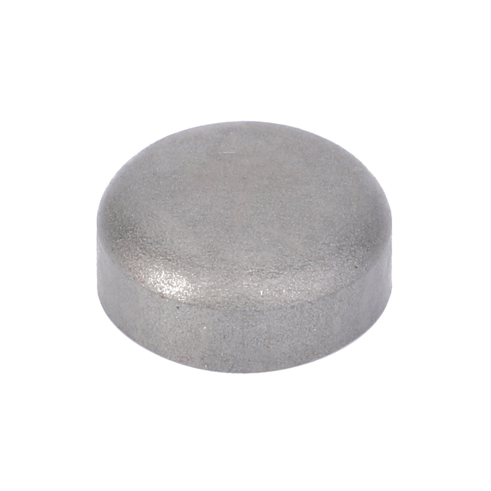 Freeze Plug | AGCO Parts