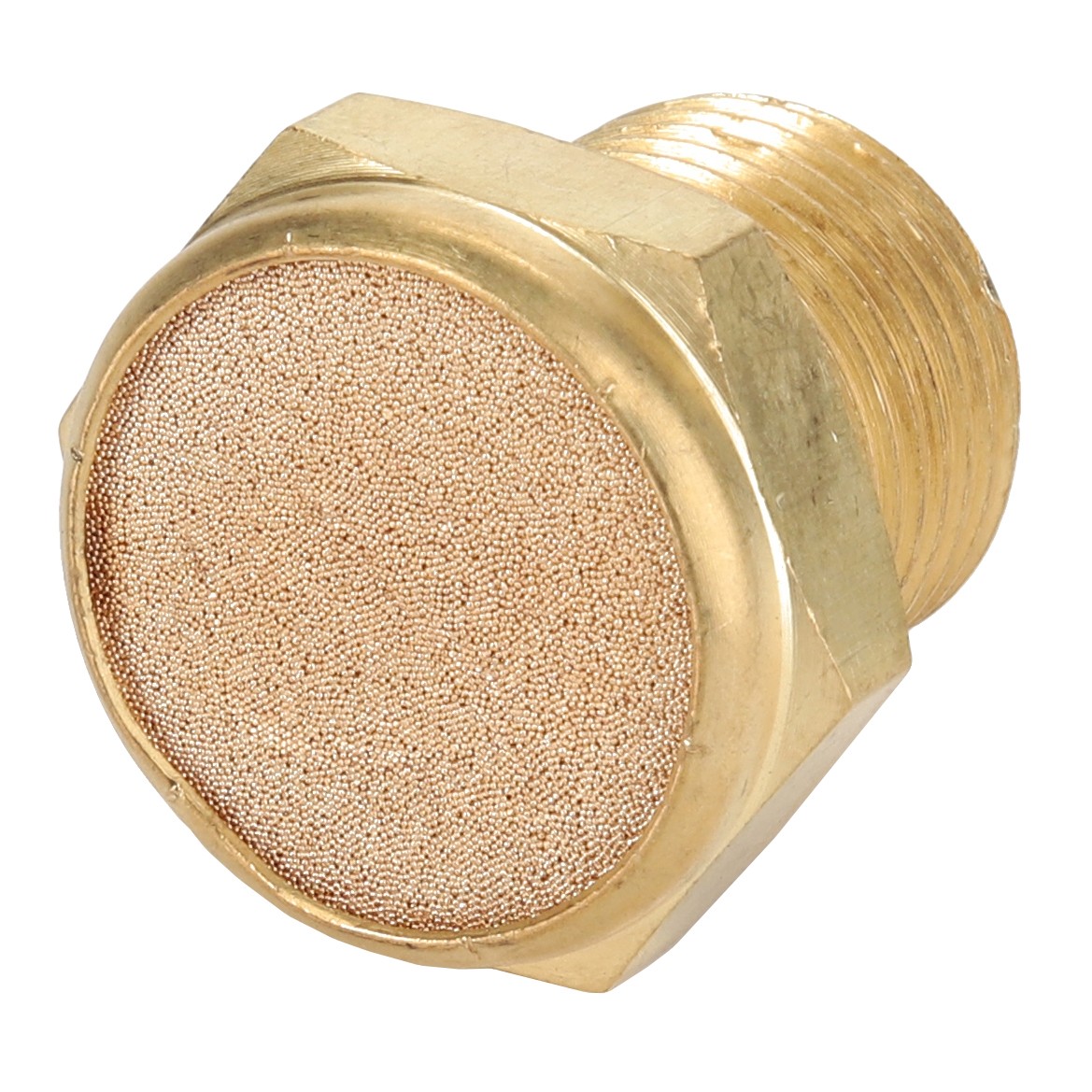 BREATHER VENT | AGCO Parts