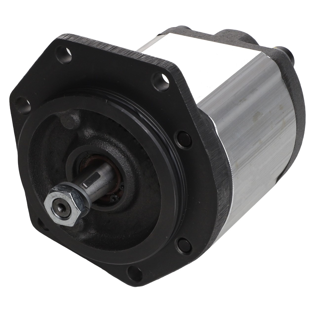 Hydraulic Pump 041683T2 | AGCO Parts