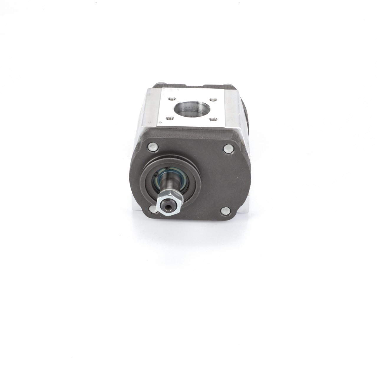 Hydraulic Pump 4301819M2 | AGCO Parts