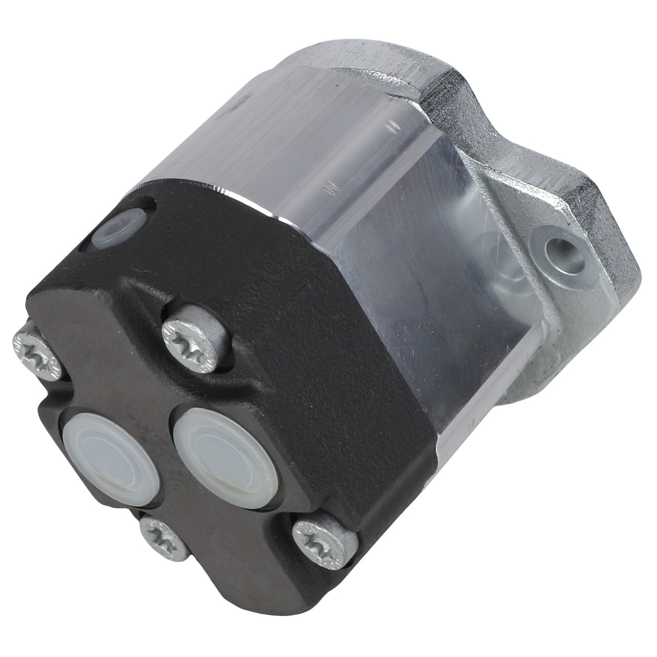 HYDRAULIC TOOTHED WHEEL PUMP | AGCO Parts