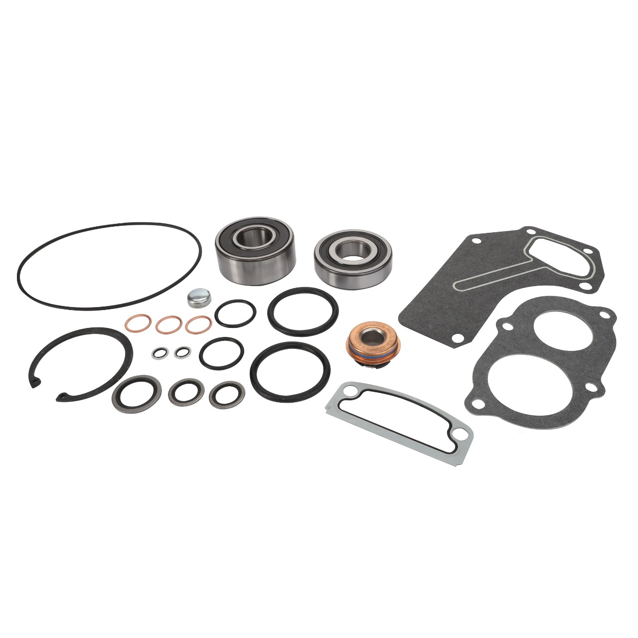 WATER PUMP REPAIR KIT | AGCO Parts