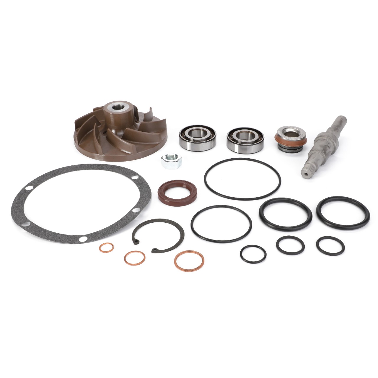 Water Pump Repair Kit | AGCO Parts