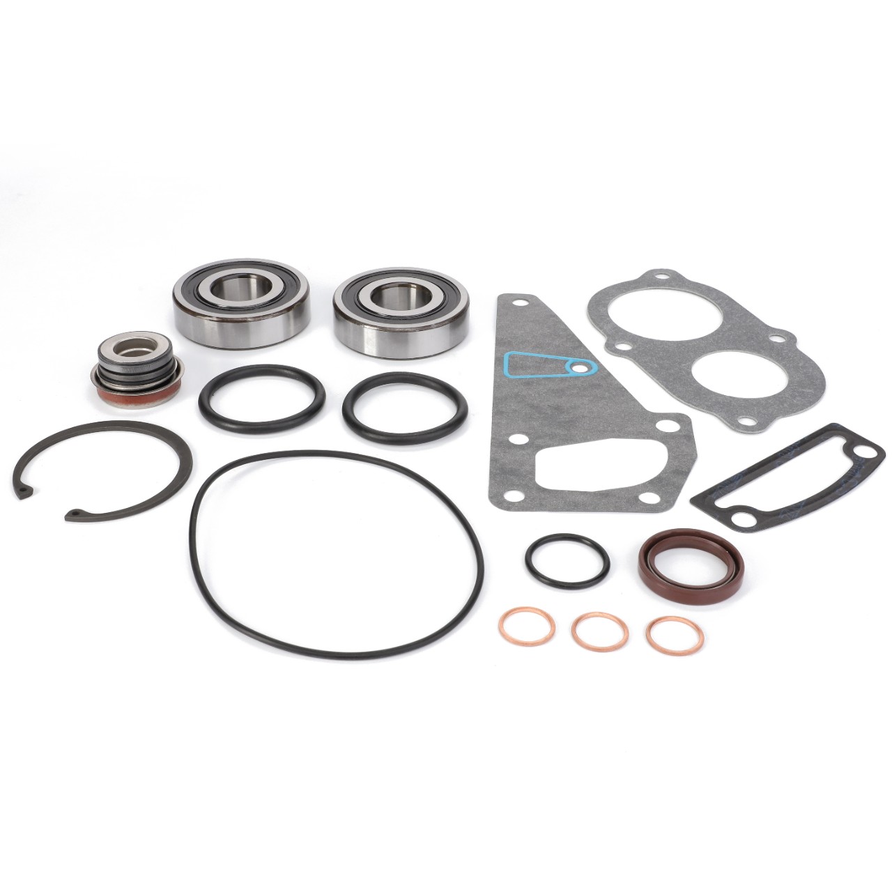 Water Pump Repair Kit | AGCO Parts
