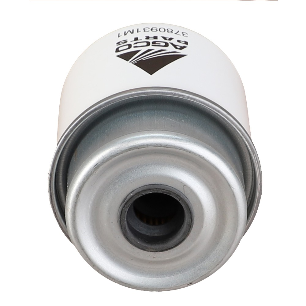 Filter Element 3780931M1 | AGCO Parts