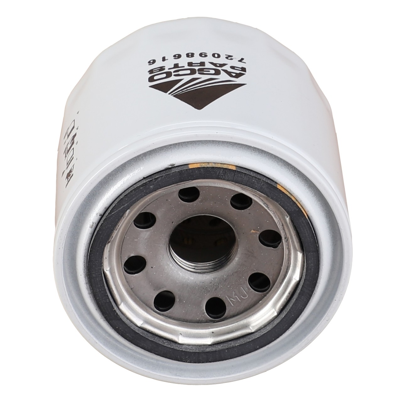 Fuel Element 72098616 | AGCO Parts