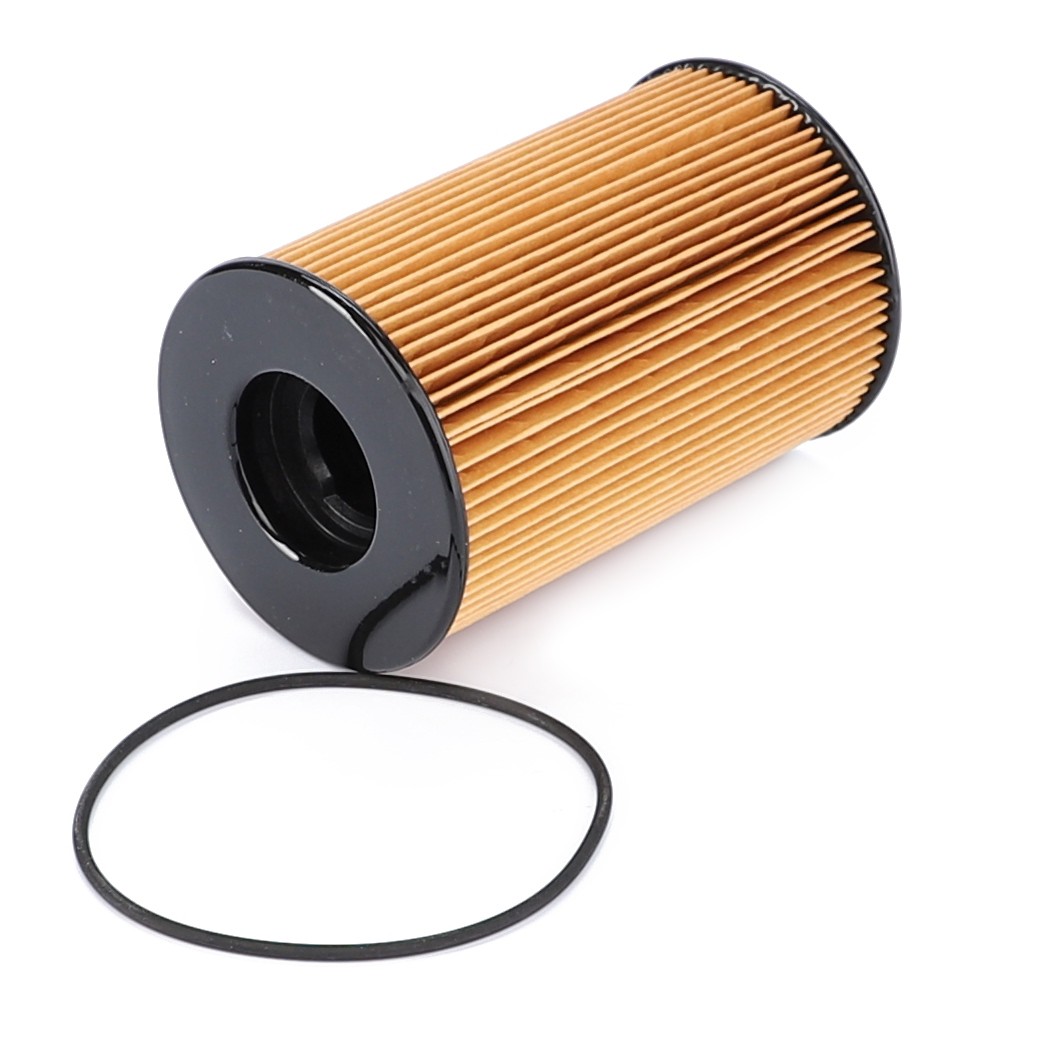Fuel Filter Cartridge 4225393M1 | AGCO Parts