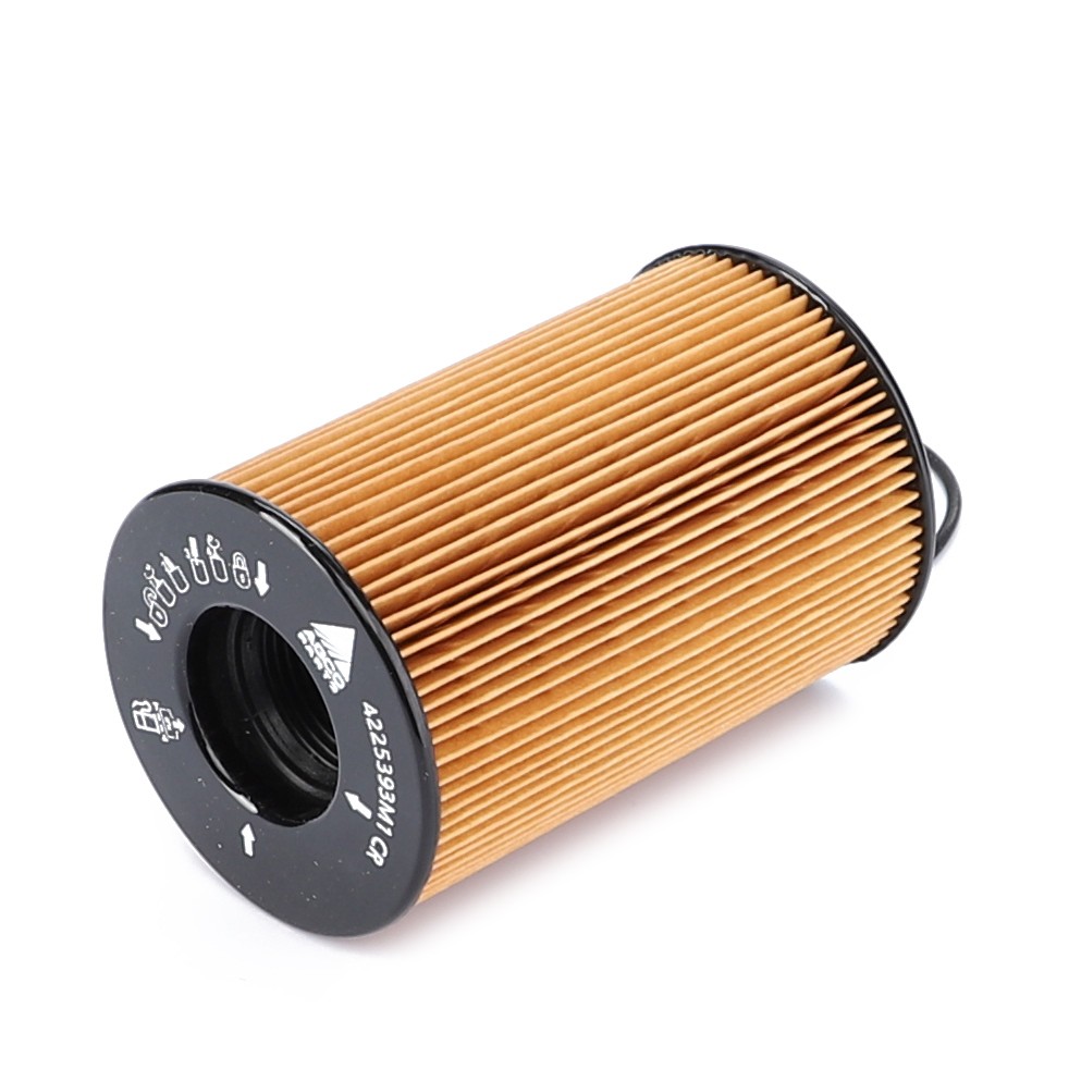 Fuel Filter Cartridge 4225393M1 | AGCO Parts
