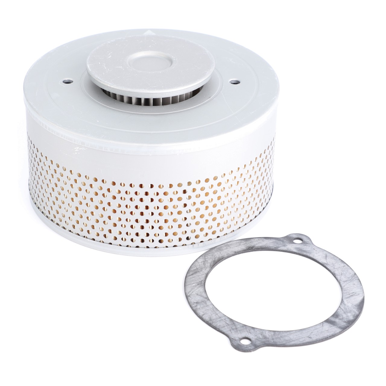 Hydraulic Oil Filter Cartridge | AGCO Parts