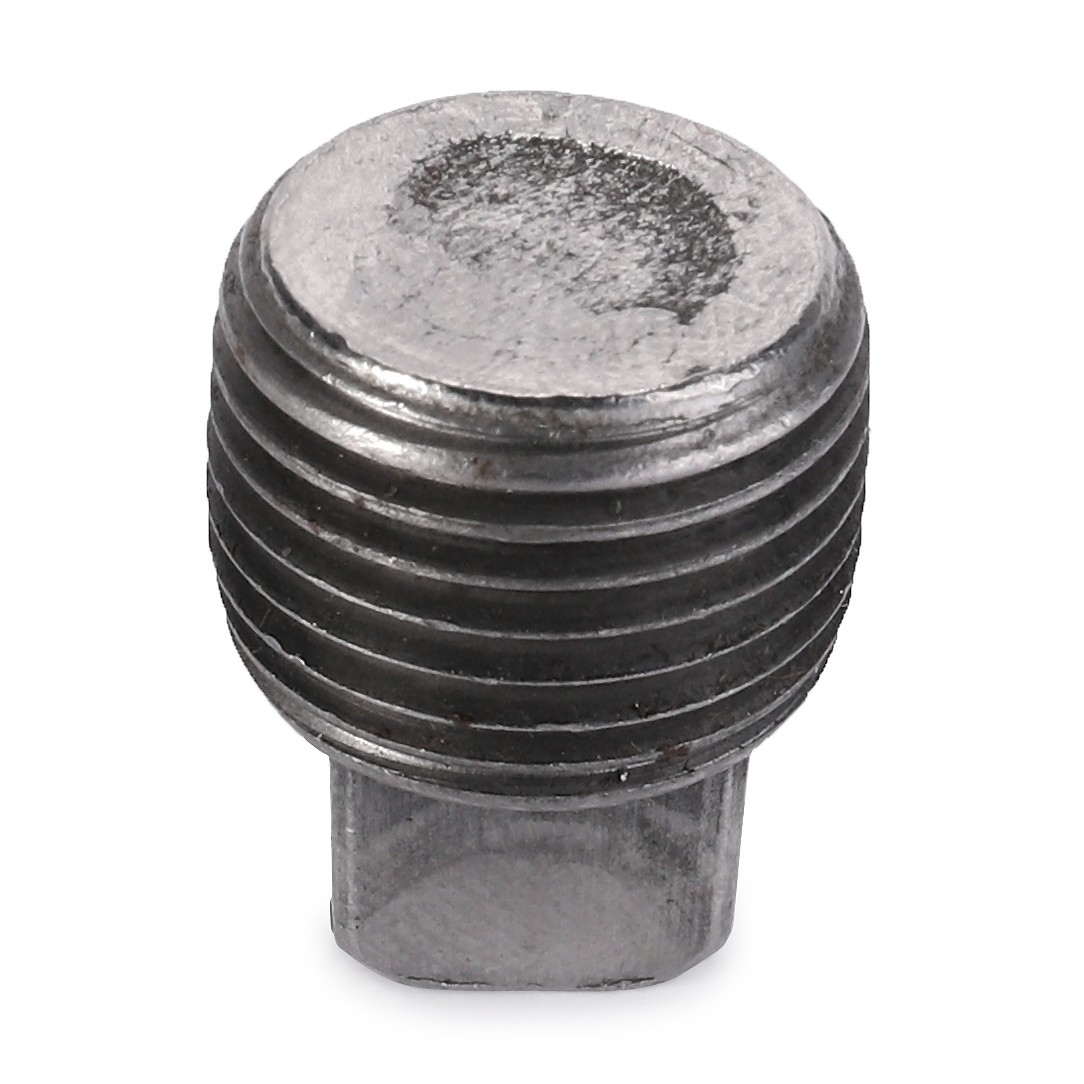 PIPE PLUG AG559342 | AGCO Parts