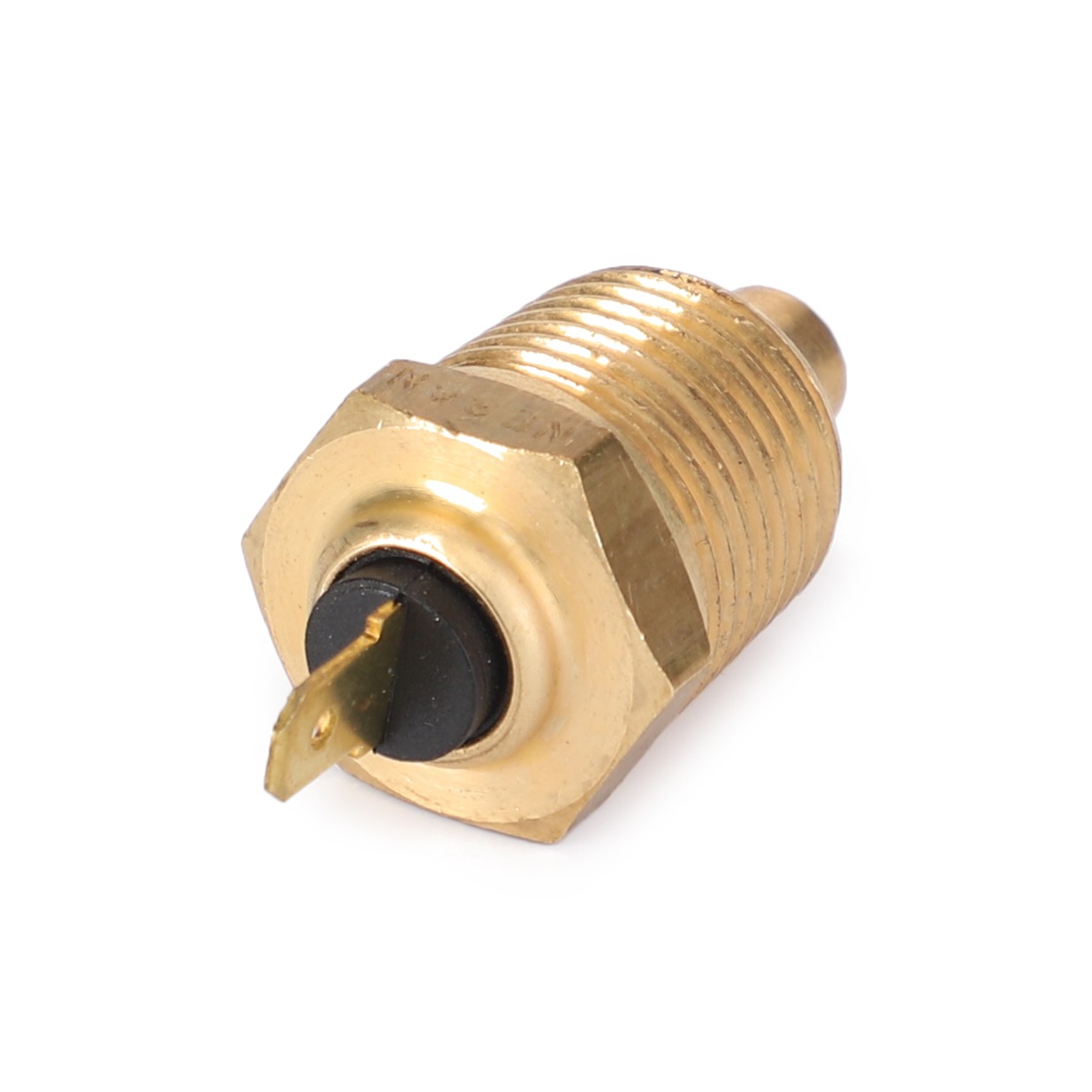 Sensor, Temperature 3812023M1 | AGCO Parts