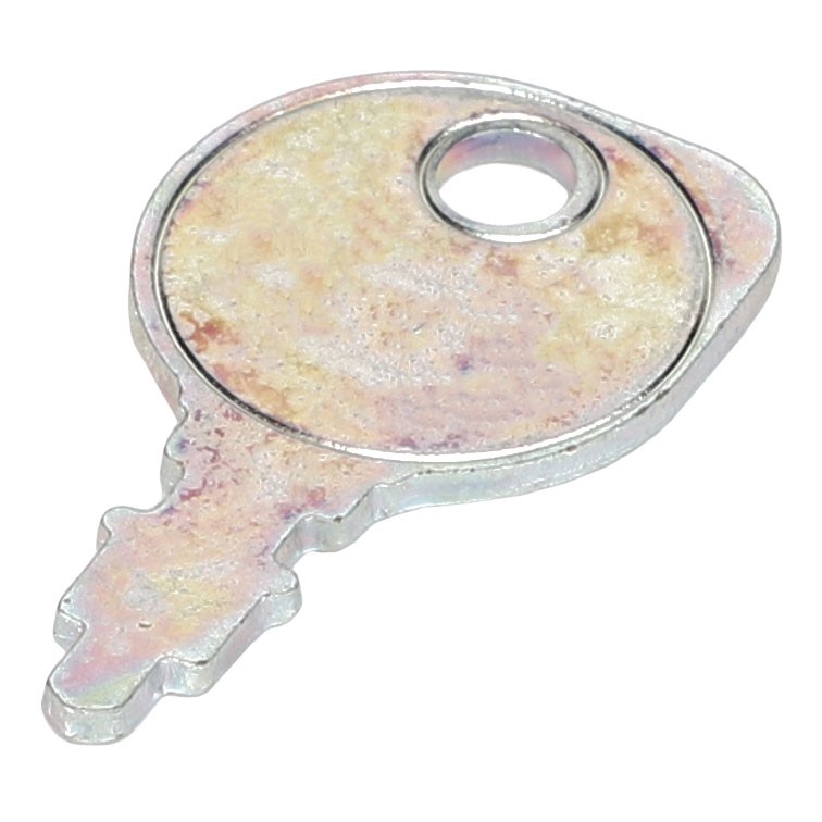 IGNITION KEY 70241977 | AGCO Parts