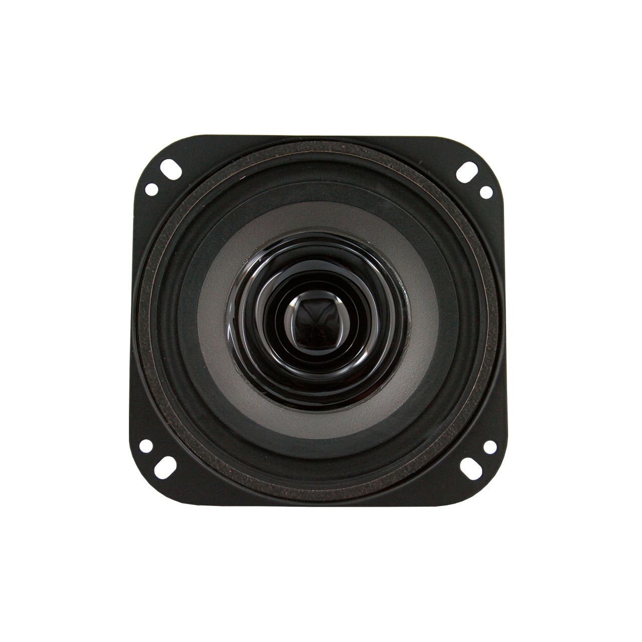 REI Radio Speaker | AGCO Parts