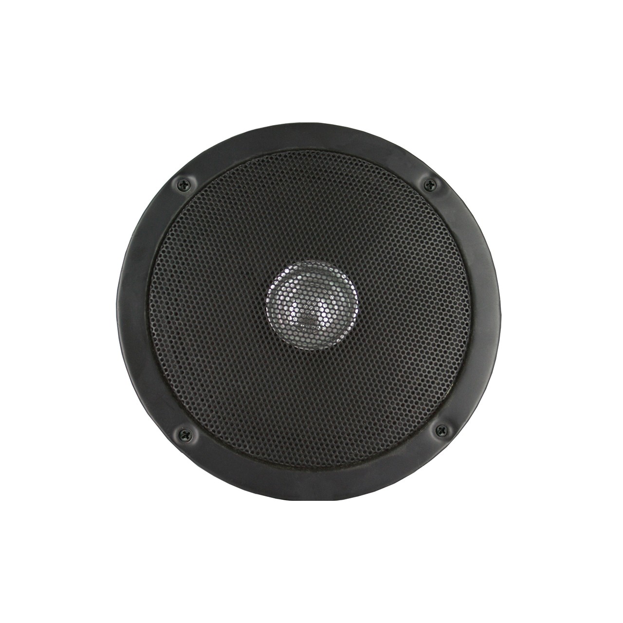 REI Radio Speaker | AGCO Parts