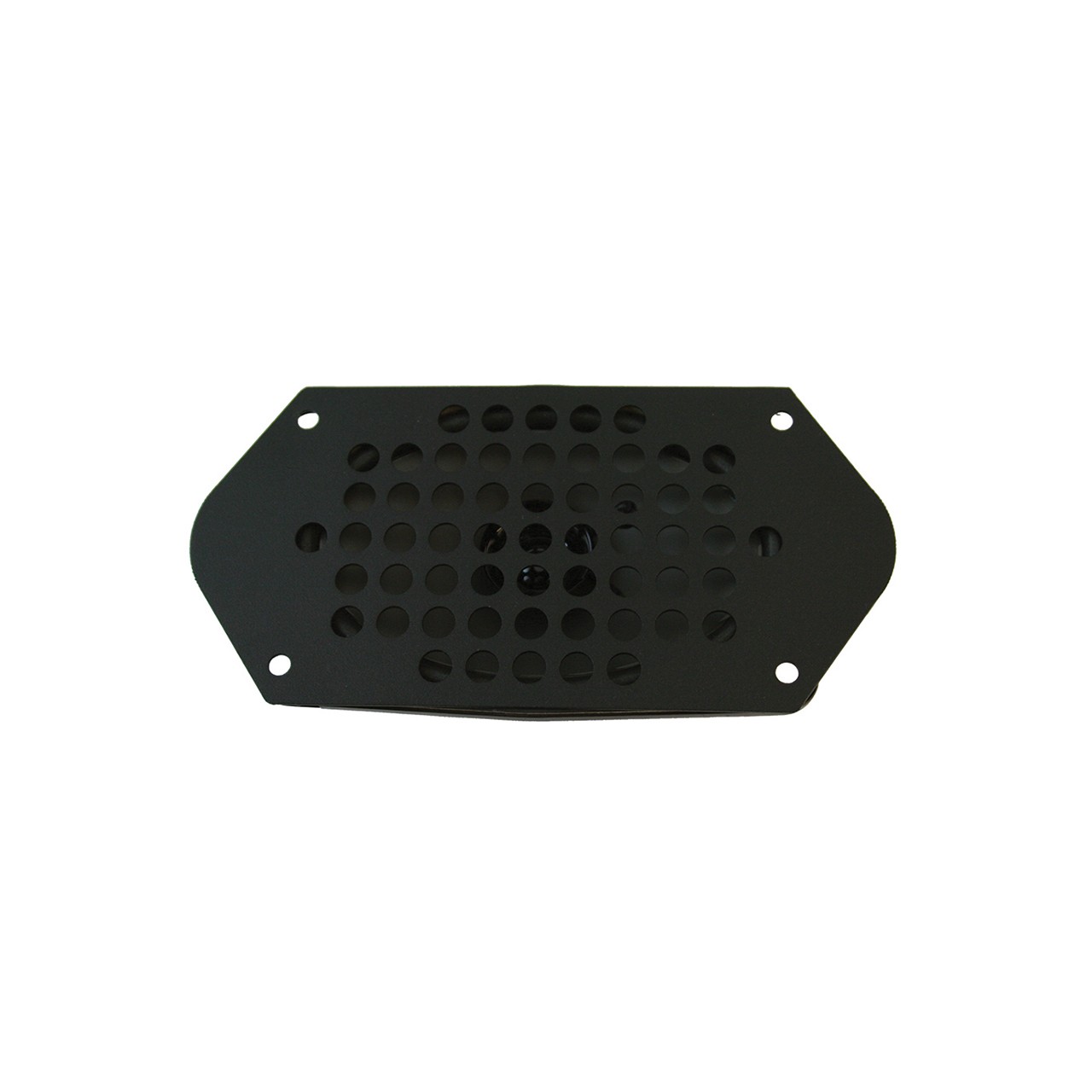 REI Radio Speaker | AGCO Parts