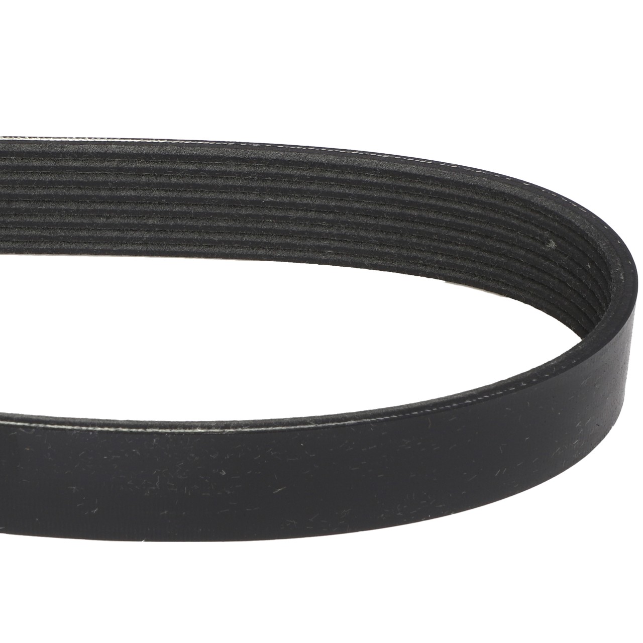BELT A3966783 | AGCO Parts