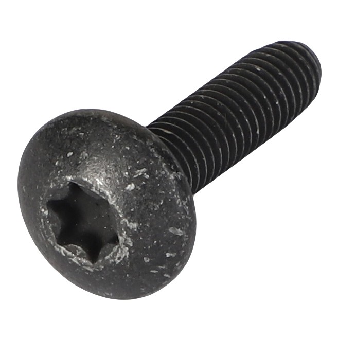 TORX HEAD SCREW | AGCO Parts
