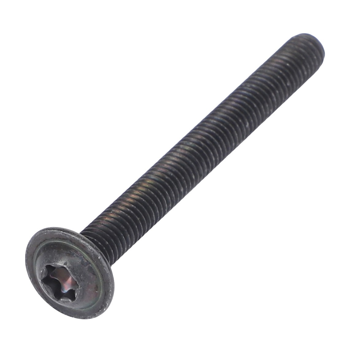 TORX SCREW | AGCO Parts