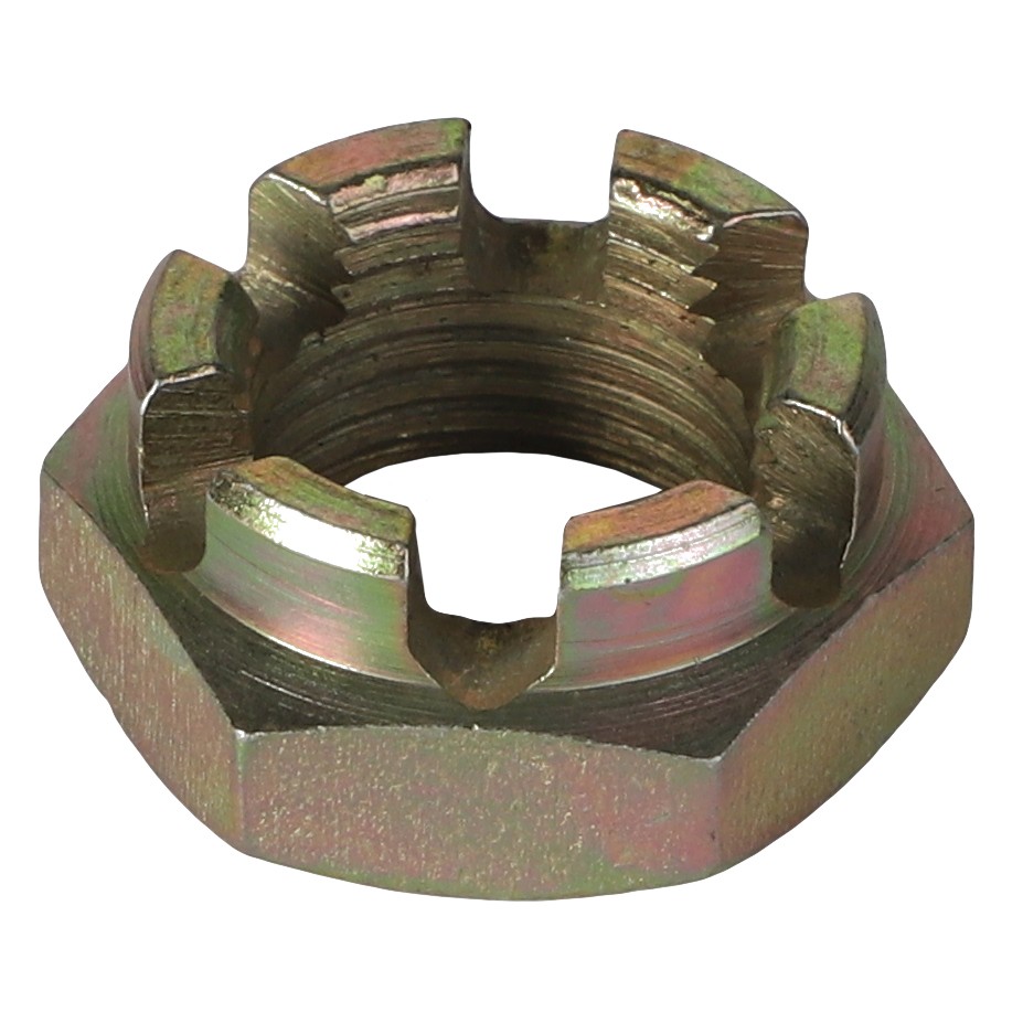 SLOTTED NUT | AGCO Parts