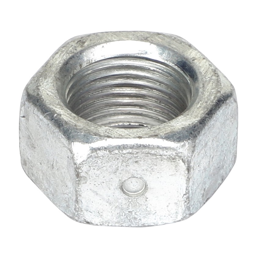 NUT 70930629 | AGCO Parts