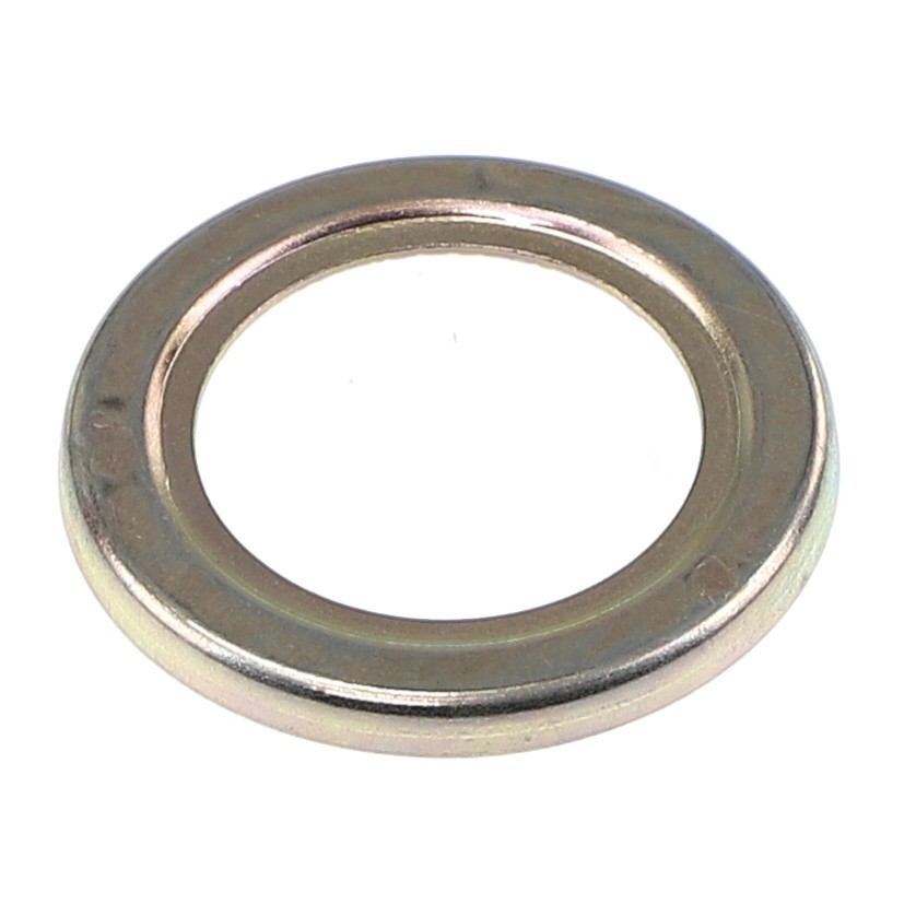 LOCK RING | AGCO Parts