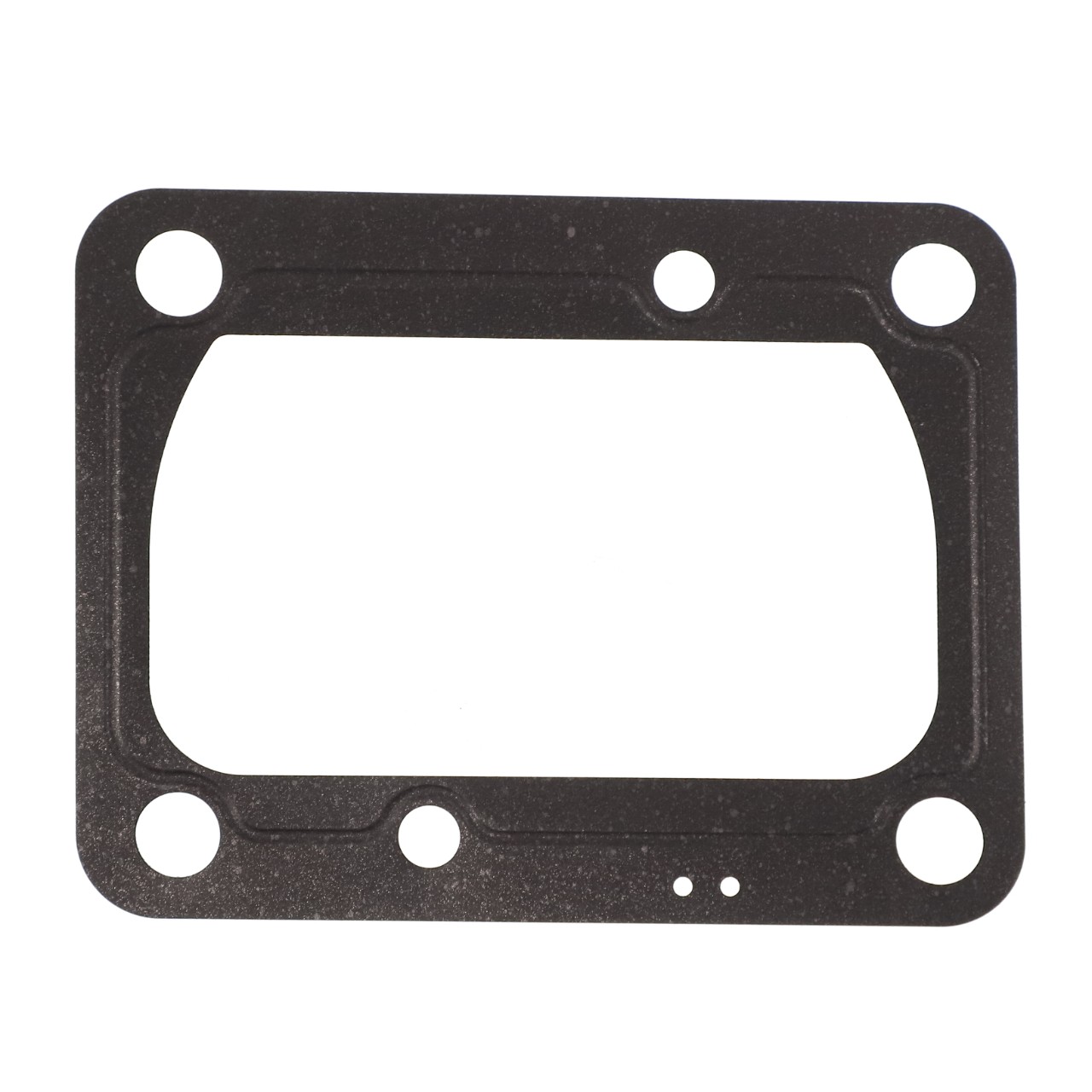 INJECTION PUMP SHIM | AGCO Parts