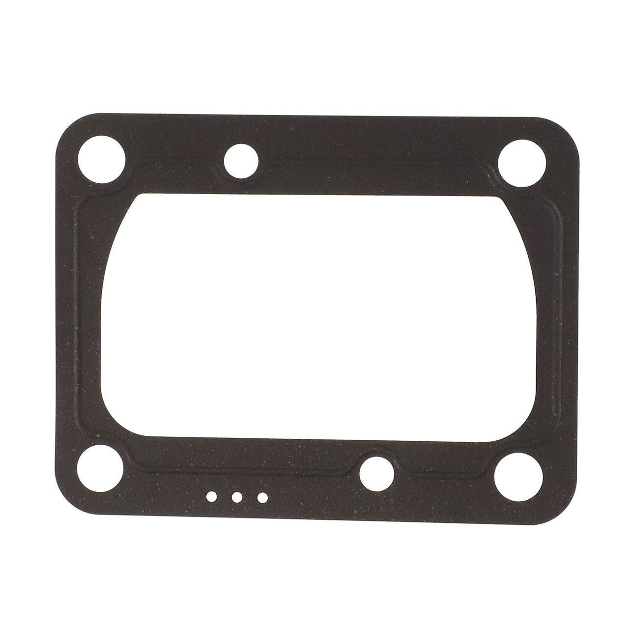 INJECTION PUMP SHIM | AGCO Parts