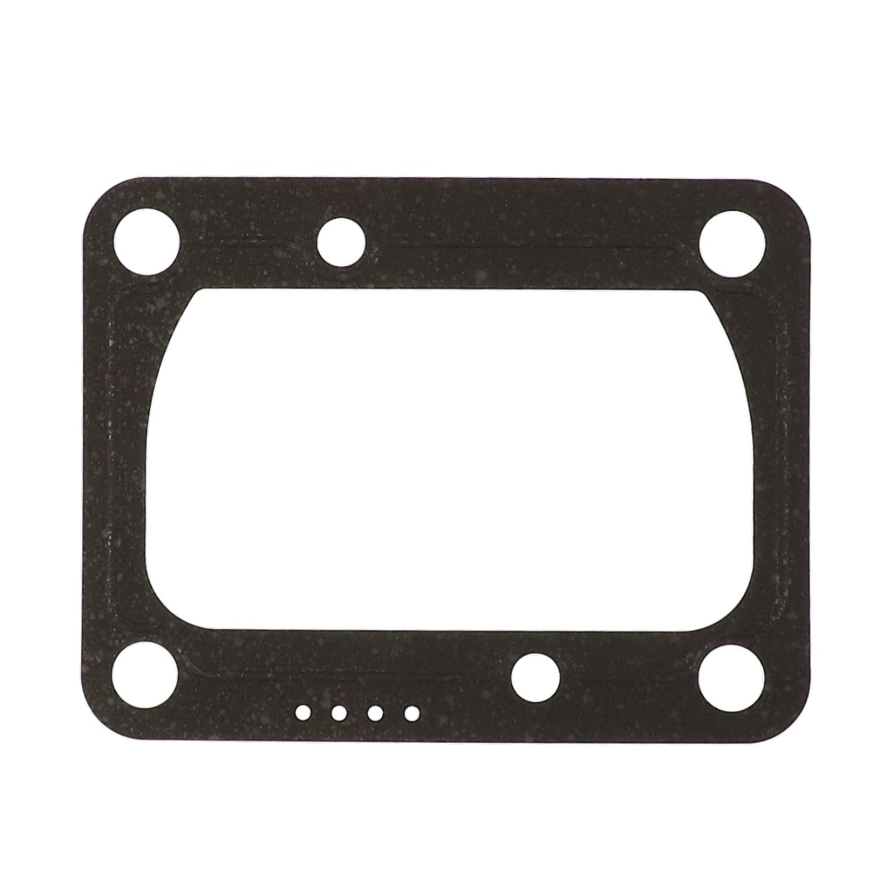 INJECTION PUMP SHIM | AGCO Parts