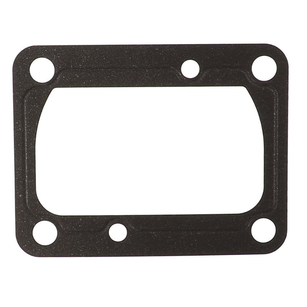 INJECTION PUMP SHIM | AGCO Parts