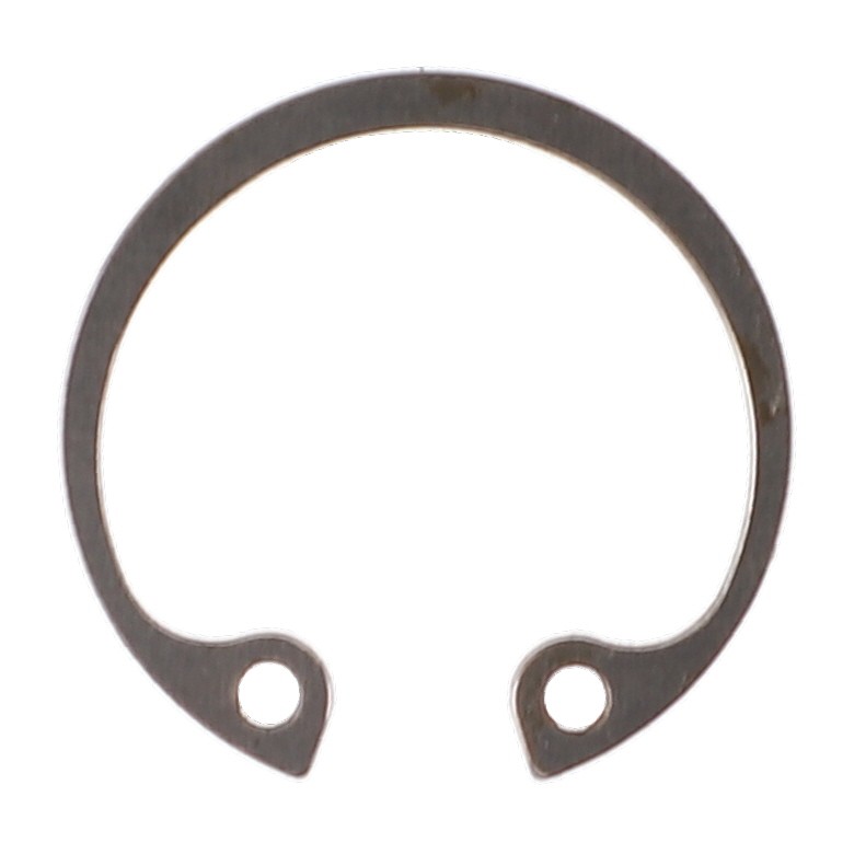 INTERNAL RETAINING RING | AGCO Parts
