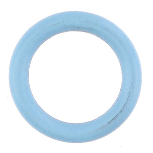 O-RING 228-7100 | AGCO Parts
